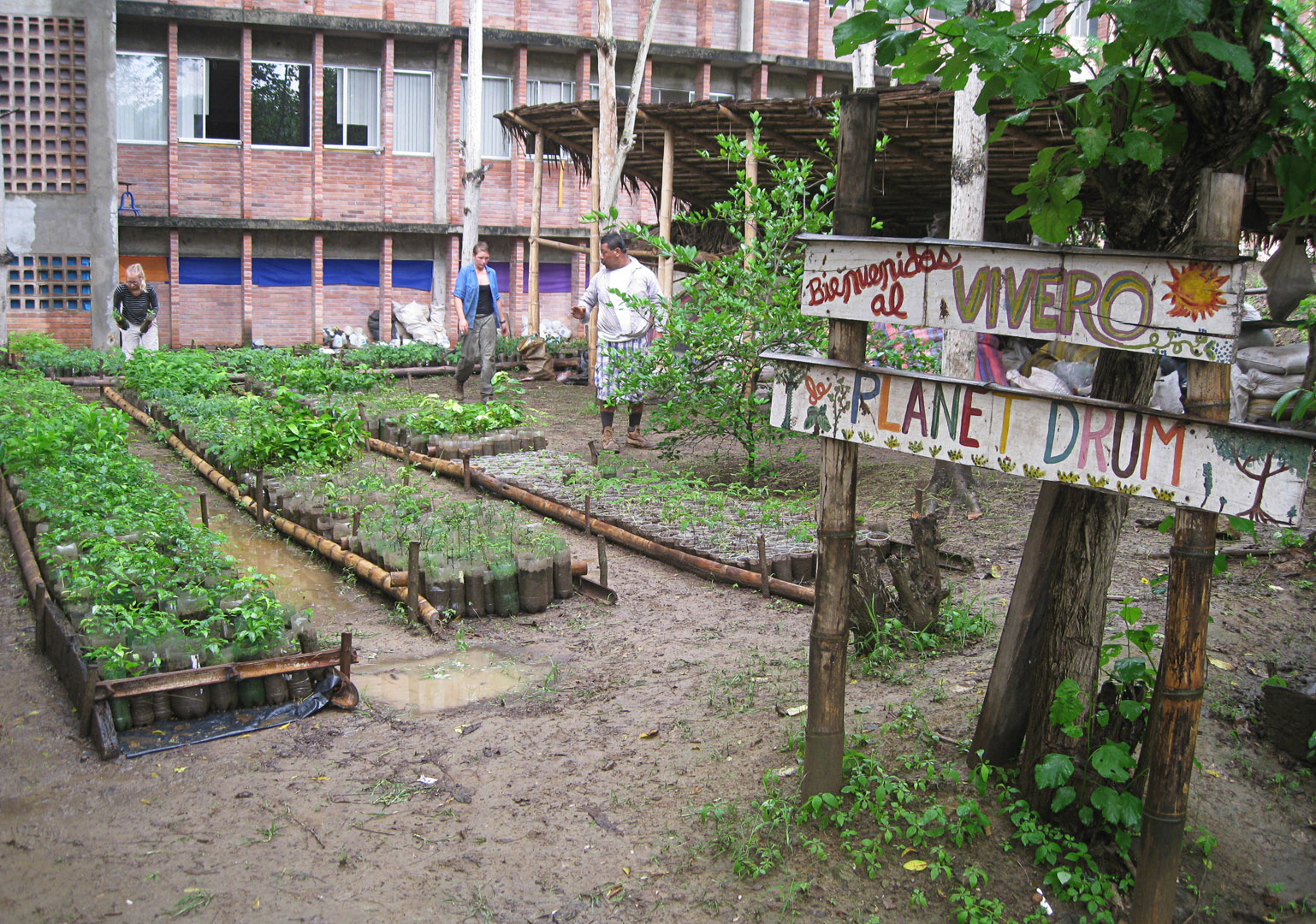 Dry Tropical Forest Revegetation Project Overview - Planet Drum Foundation